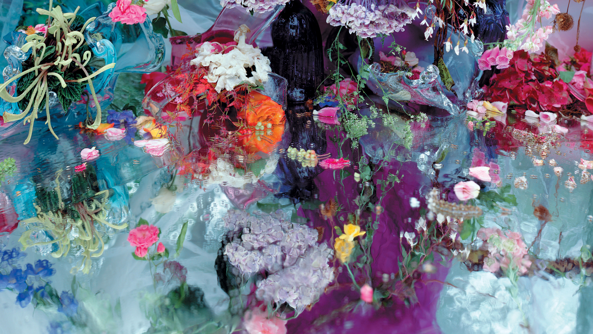 Margriet Smulders | epo.org