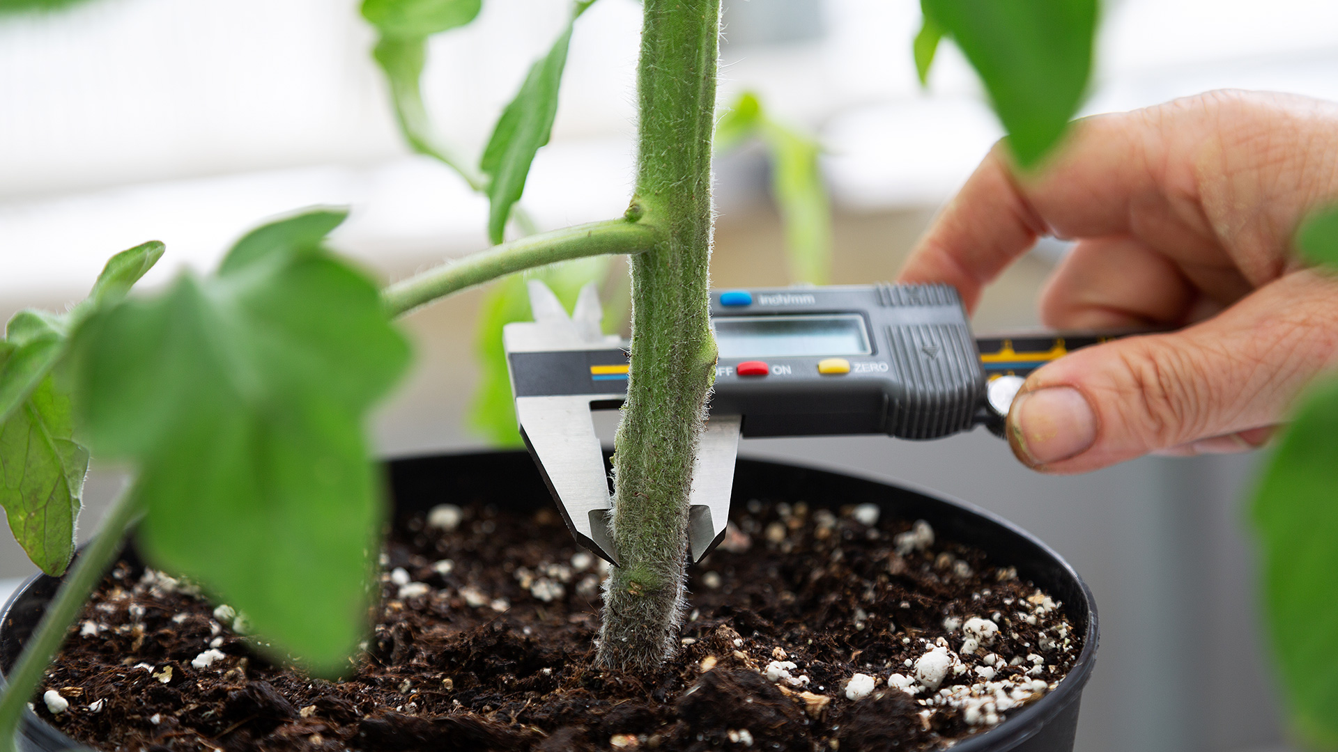 Digital Library v1.0.4